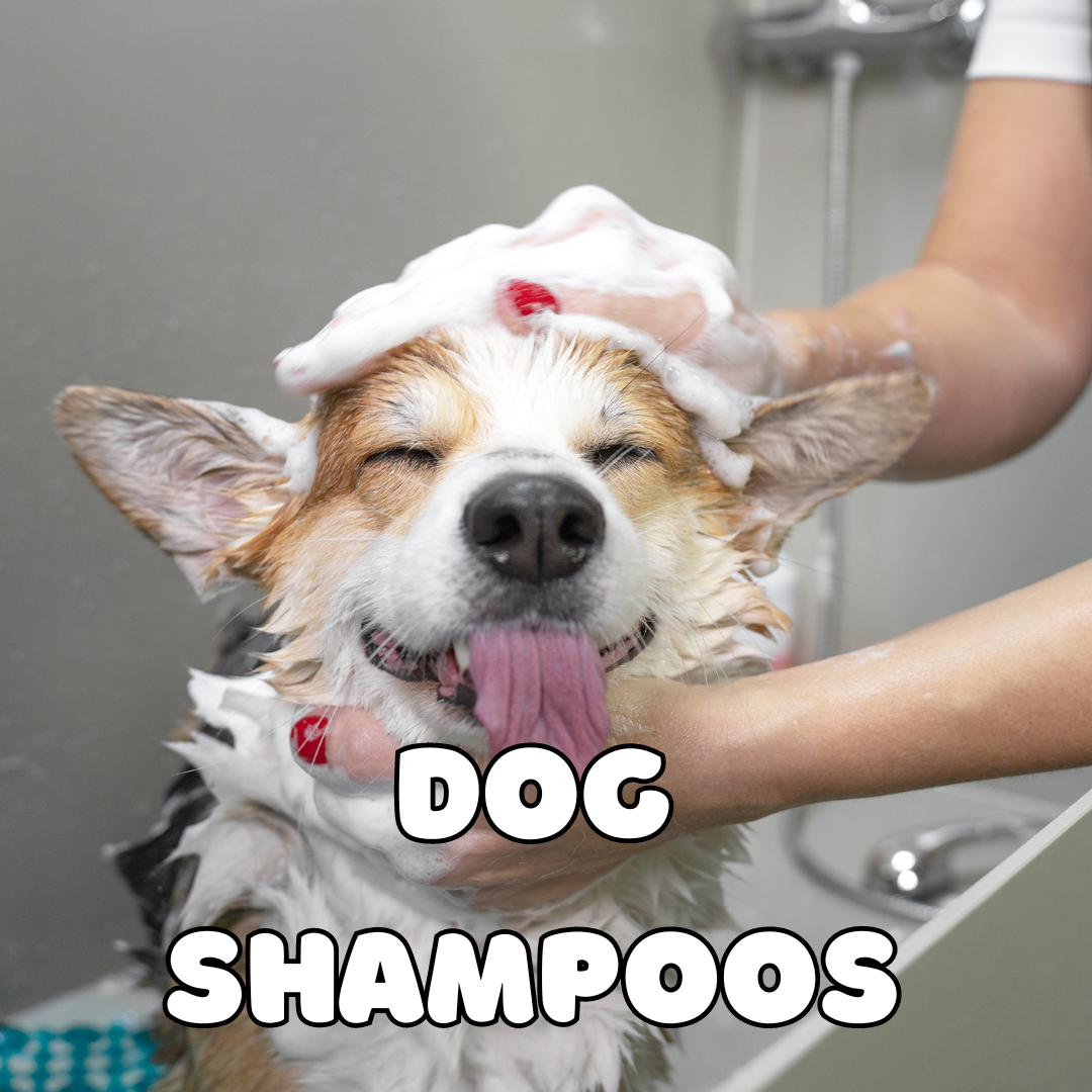 Dog Shampoos – The Pet Markaz